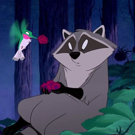 Meeko With Flit • Disney Pocahontas Exclusivo 233 — X Uruguay