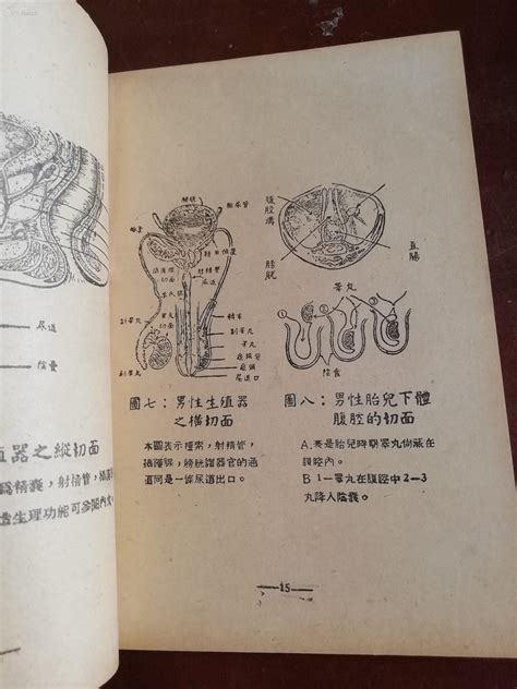 图孔网孤本绝版图解性秘密图特多研究古代性秘密的书籍 拍品信息 网上拍卖 拍卖图片 拍卖网 拍卖网站