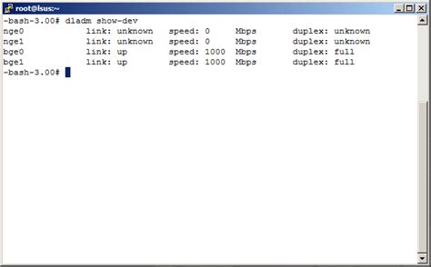 Solaris 10 Lacp Link Aggregation Control Protocol Itek Blog