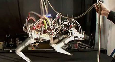¿crean El Robot Asesino Más Rápido Del Planeta