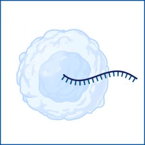 Single Cell RNA Seq Kit Scale Biosciences