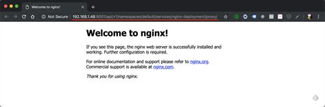 cómo usar kubectl proxy para acceder a tus aplicaciones return gis