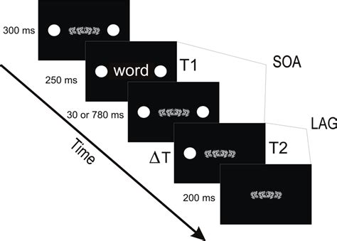 Temporal Sequence Of Experiment 2 Screen Presentation Of The Two