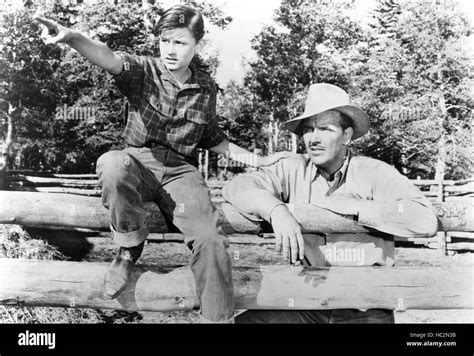 My Friend Flicka From Left Roddy Mcdowall Preston Foster 1943