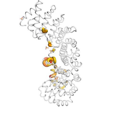 Sox2 Gene Somatic Mutations In Cancer