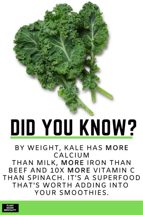 Kale Health Benefits Kale Benefits Health Food Health Benefits