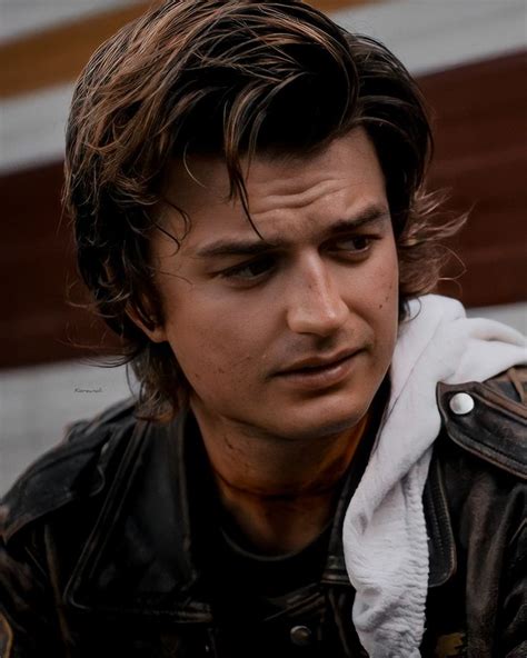 Steve Harrington Visage Stranger Things Passion Secrète Pour Une