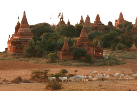 Pagodasbagan Myanmar Religion Pagoda Ancient Indigenous Travel Stupa