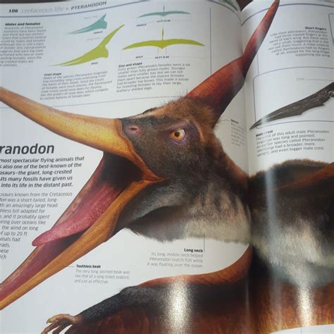 Creatlach Pteranodon Icm Icm53031 Ah 1g Cobra Late Production 1 35