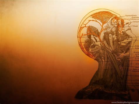 Философия картинки для презентации 65 фото