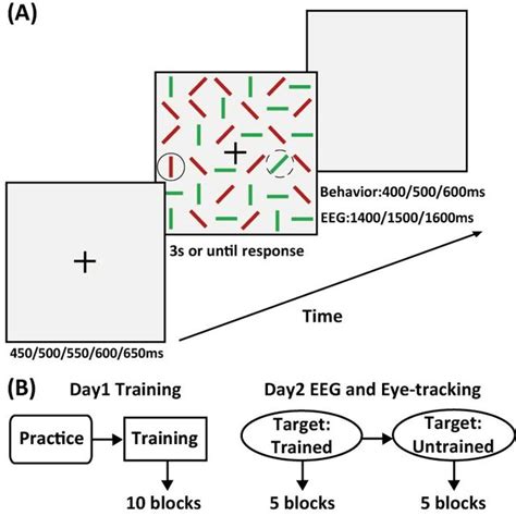 Experimental Design Of Experiment 5 A Stimulus And Trial Sequence