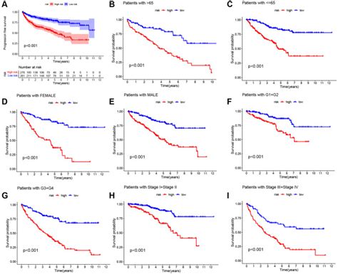Identification And Validation Of A Novel Signature Based On Macrophage Marker Genes For