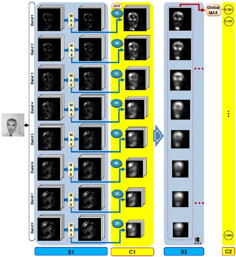 The Architecture Of The Hmax Model S 1 In This Layer An Input