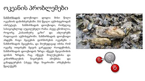 მსოფლიო ოკეანის ტრაგედია Pptx