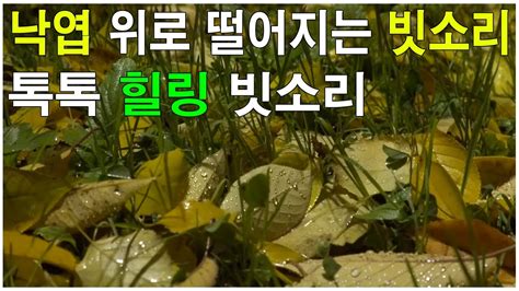 낙엽 위로 떨어지는 빗소리 Youtube