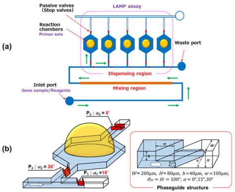 Figure From A Microfluidic Diagnostic Device Capable Of Autonomous Sample Mixing And