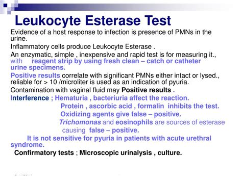 Ppt Laboratory Diagnosis Of Urinary Tract Infections Powerpoint