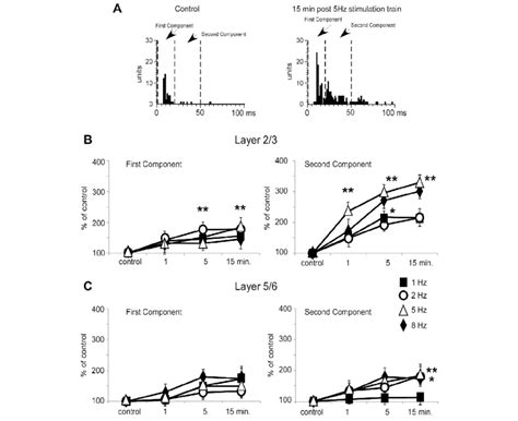 The Second Component Of Tactile Response Was The Main Response