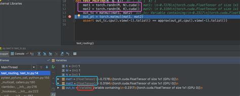 Bug Of Returned Data Type Variable Instead Of Tensor · Issue 170