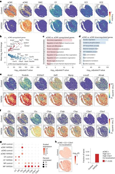 Ken Checicki On Linkedin Targeting The Microenvironment Rather Than A