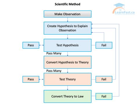 Hypothesis Testing Steps