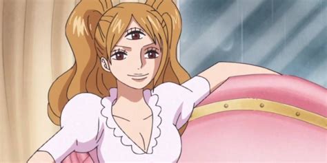 What Happened To Pudding In One Piece At Glenna Keitt Blog