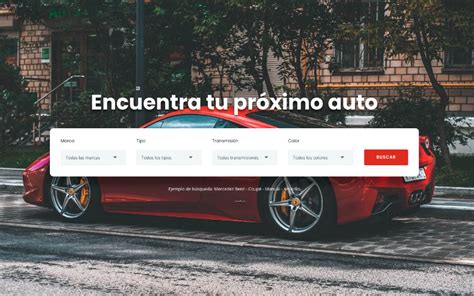 Cómo Crear Un Formulario De Búsqueda De Publicaciones Personalizadas