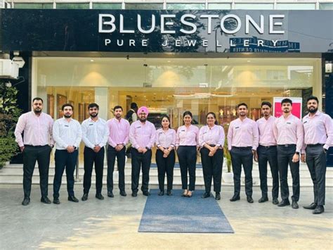 Aditya Jaiswal Pgdm On Linkedin Ndim Bluestone