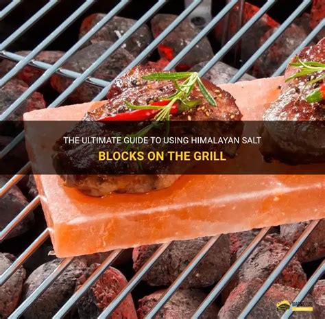 The Ultimate Guide To Using Himalayan Salt Blocks On The Grill Shungrill
