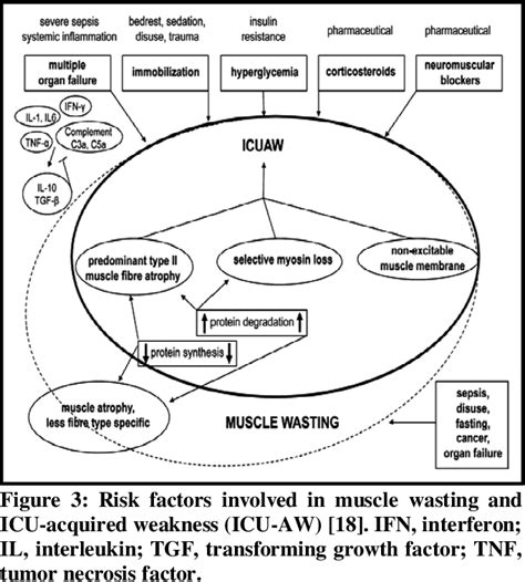Figure 3 From Acquired Neuromuscular Weakness In Intensive Care Unit