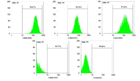 Flow Cytometry For Detection Of Fibroblast Like Synoviocytes Fls
