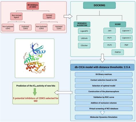of db‐CICA structure‐based and molecular dynamics modeling workflow | Download Scientific Diagram