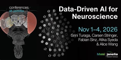 Data Driven Ai For Neuroscience Janelia Research Campus