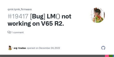 Bug Lm Not Working On V65 R2 · Issue 19417 · Qmkqmkfirmware