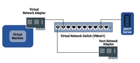 Types Of Virtual Networks In VMware Virtualization Concepts