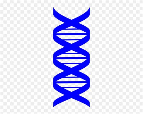 Dna Strand Clipart