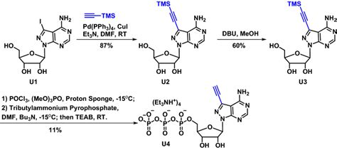 Synthesis Of Triphosphate Analogue U4 Download Scientific Diagram