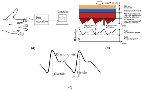 Human Vital Signs Detection Methods And Potential Using Radars A Review Pmc