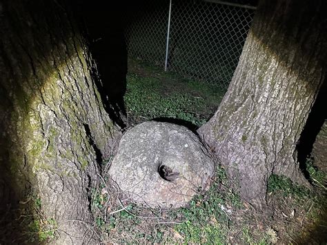 Not An Arrowhead But Does Anyone Know What This Is R Arrowheads