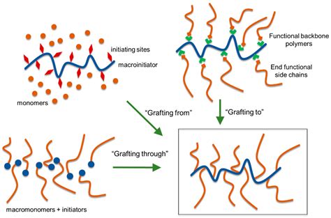 Polymers Free Full Text Lignin Biopolymers In The Age Of Controlled