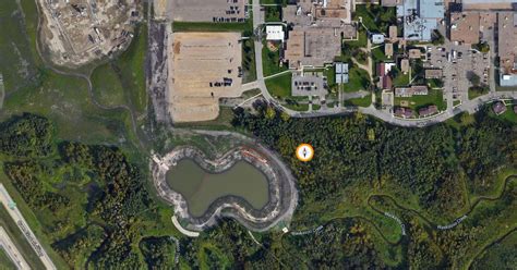 Invertebrate Sampling Scribble Maps