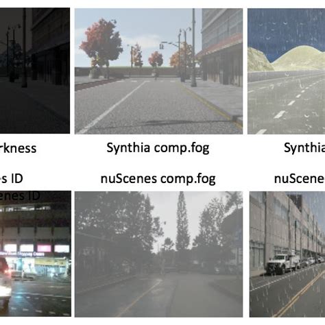 Examples Of Id And Ood Images Used In Evaluation Download Scientific Diagram