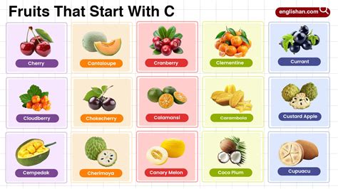 12 Fruits That Start With X Including Tropical And Rare