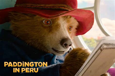 Paddington In Peru The Most Famous Peruvian Bear In The World