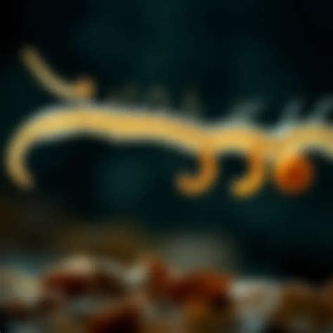 In Depth Guide To Understanding Intestinal Roundworms