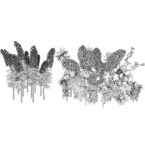 Gopher Spurge 3d Model Flippednormals