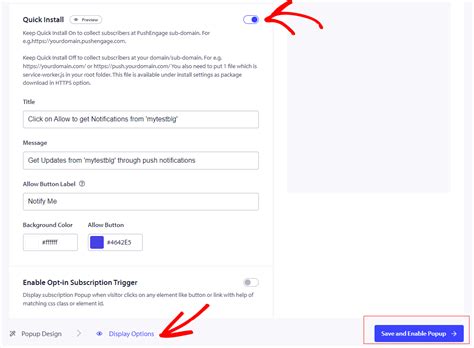 Guide To Turning Off Quick Install PushEngage