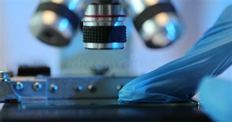 Preparing A Microscope For Scientific Experiments Stock Footage Video Of Stage Laboratory