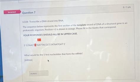 Solved Lo28 Transcribe A Dna Strand Into Rna The Sequence
