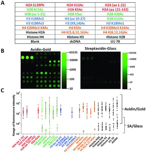 An Integrated Peptide Antigen Microarray For Profiling Serum Antibodies Download Scientific